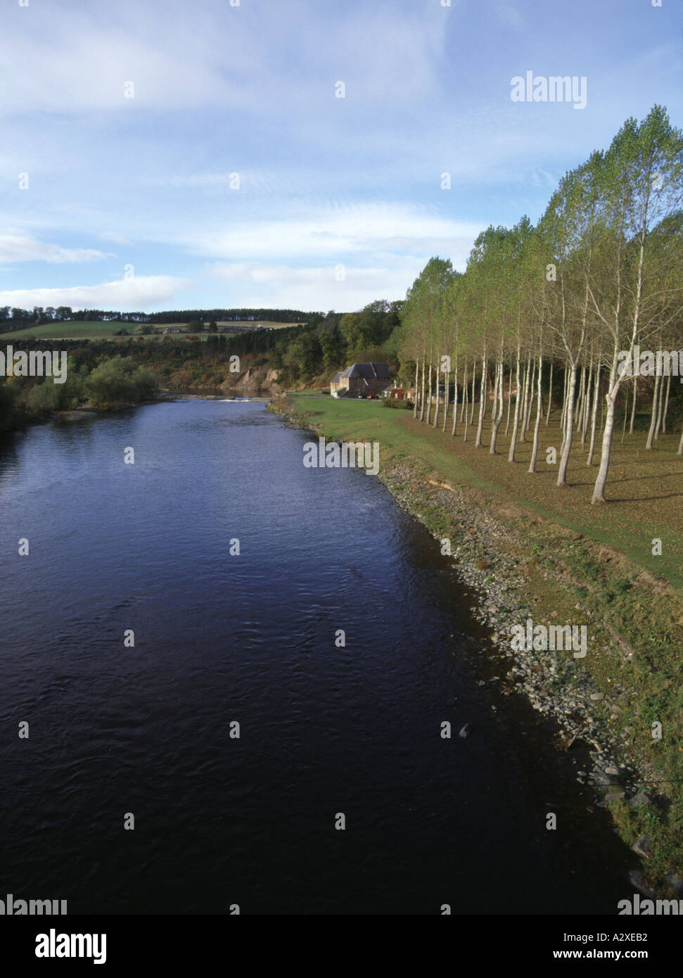 dh RIVER TWEED BORDERS Anglers fishing from boat near river bank houses ...