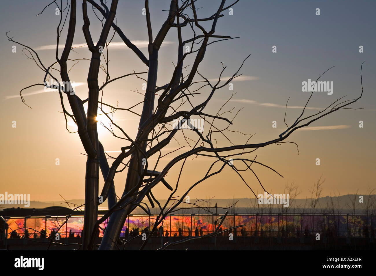 Seattle Sculpture Park Metal Tree High Resolution Stock Photography and ...