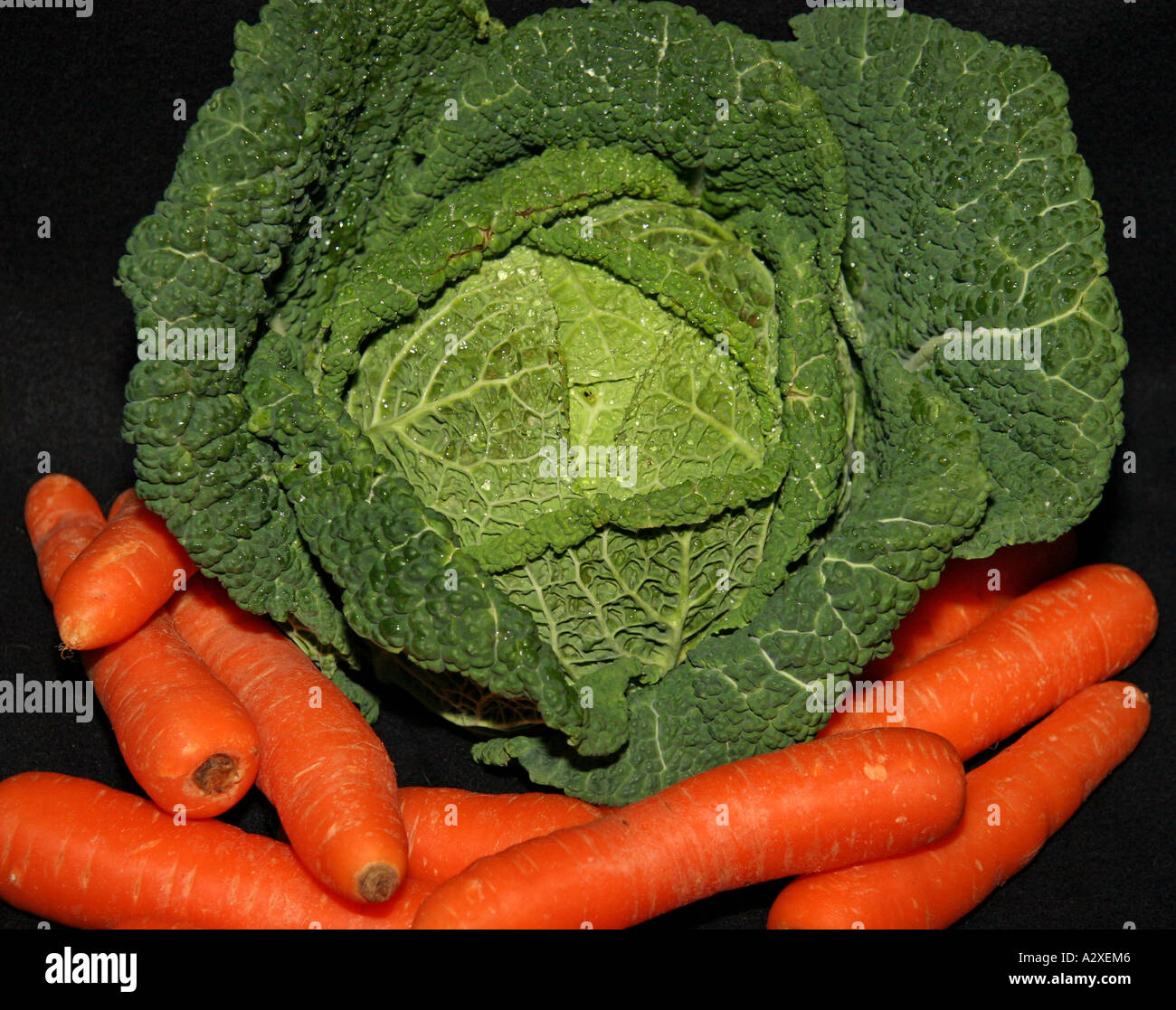 Crinkly cabbage hi-res stock photography and images - Alamy