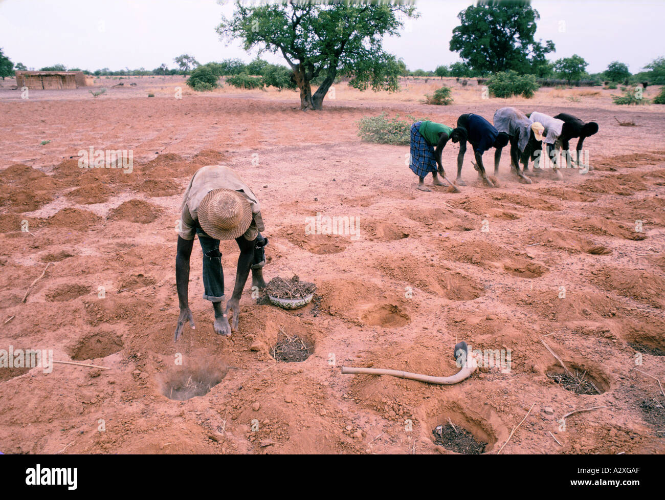 Manure compost africa hi-res stock photography and images - Alamy