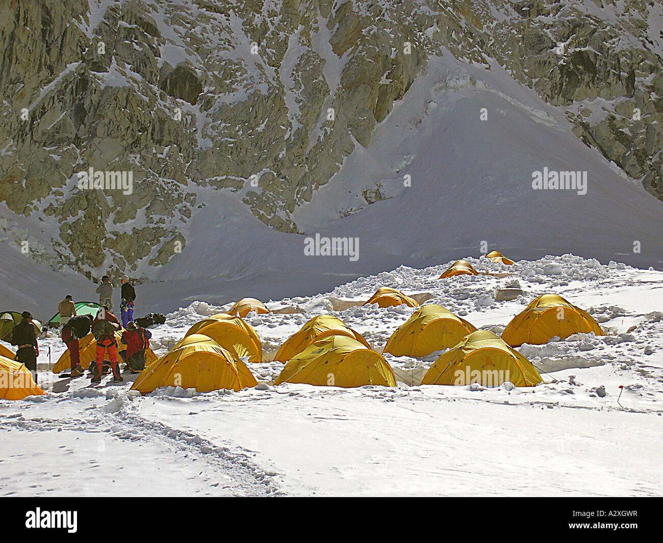 yellow tents and group of climbers in Camp I, 1, 6000m Western Cwm ...