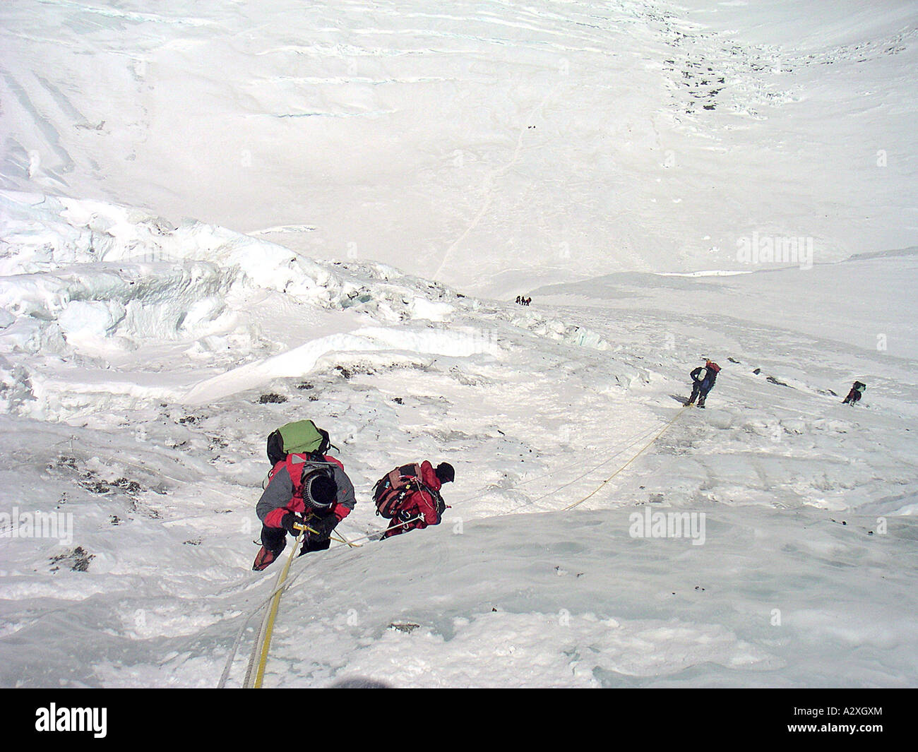 Climbers on fixed ropes in the steep, icy Lhotse Face, 6900m, on the ...