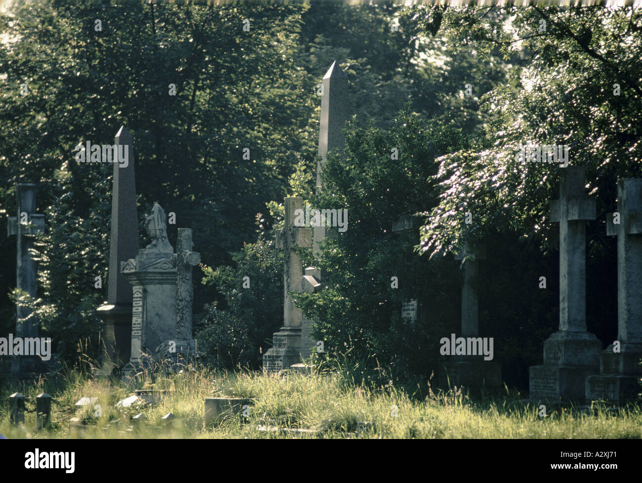 Overgrown cemetry hi-res stock photography and images - Alamy