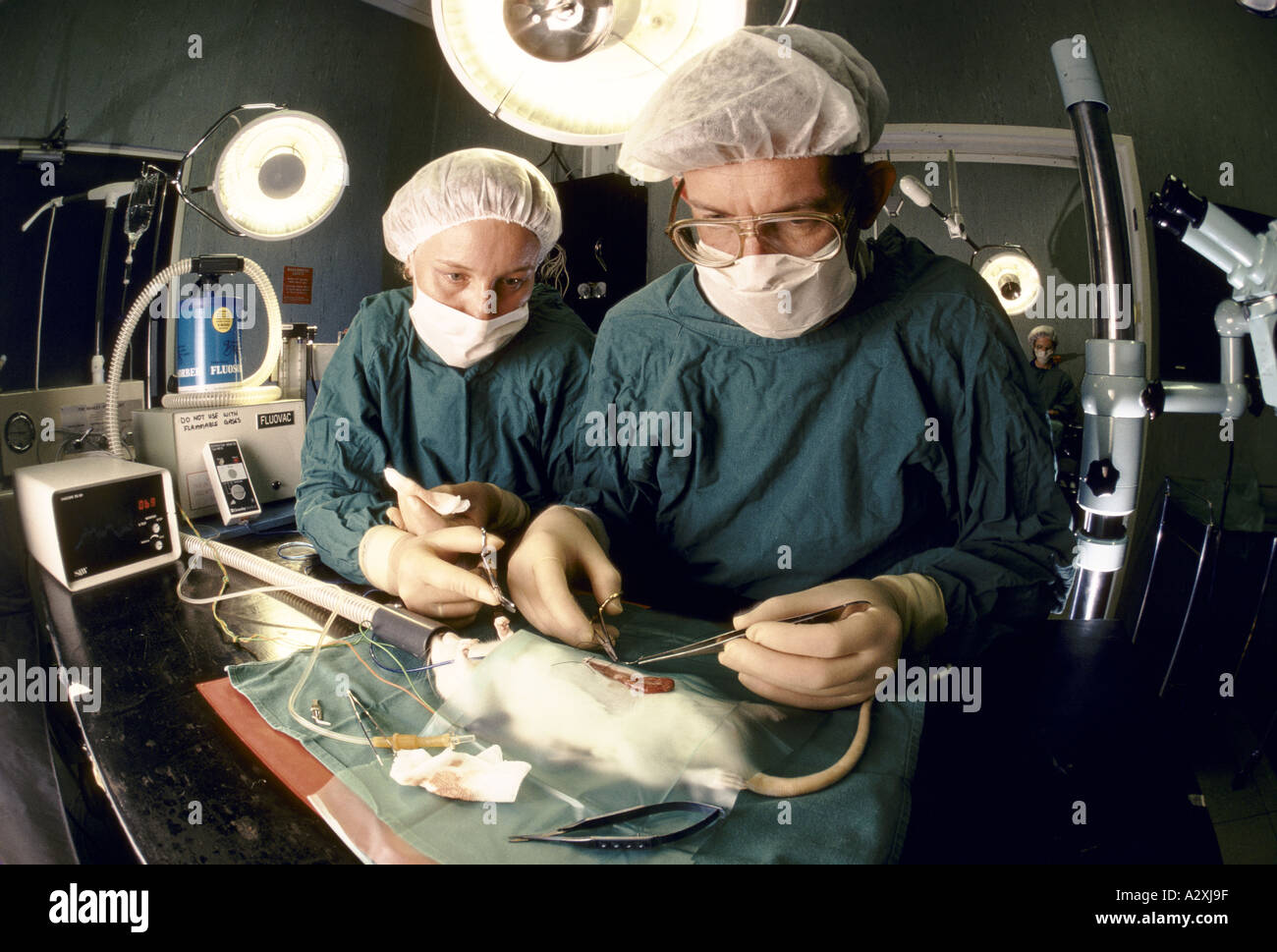 Animal testing hi-res stock photography and images - Alamy
