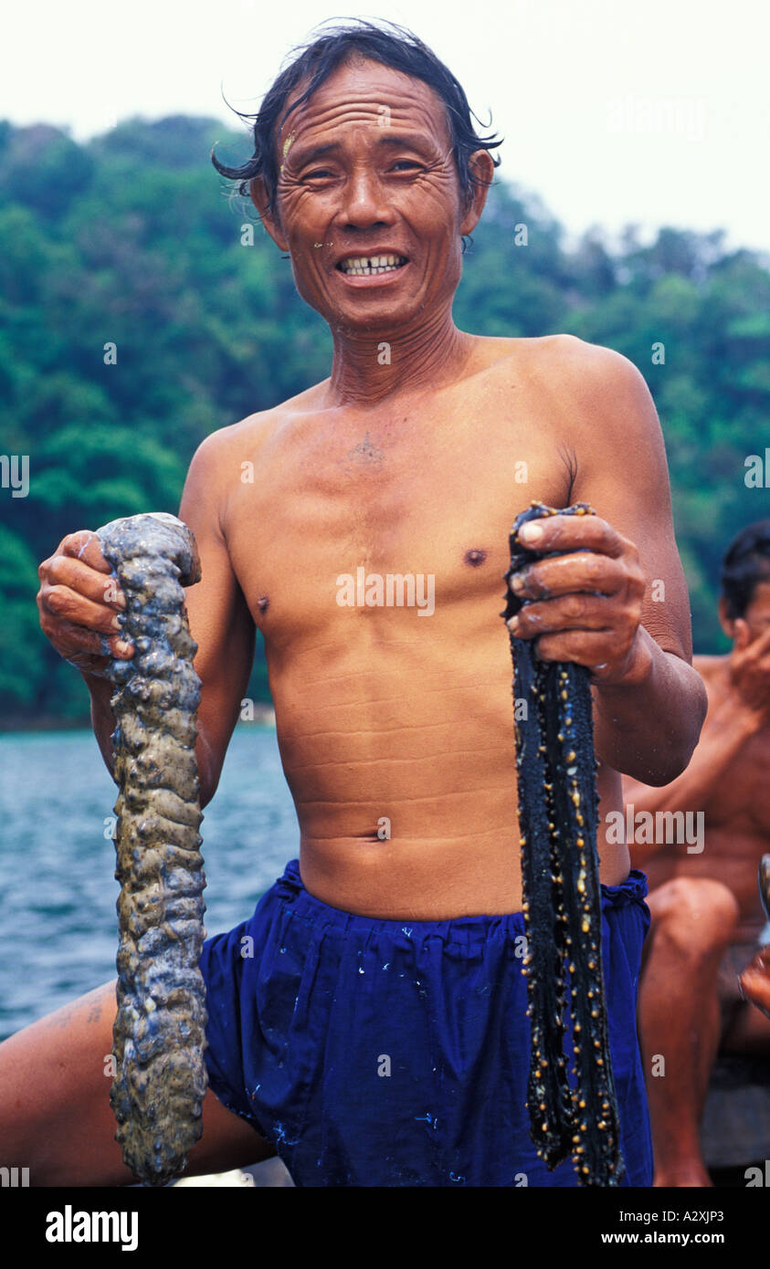 Myanmar Burma Moken Tribe sea gypsy fisherman diving for Sea Cucumbers ...