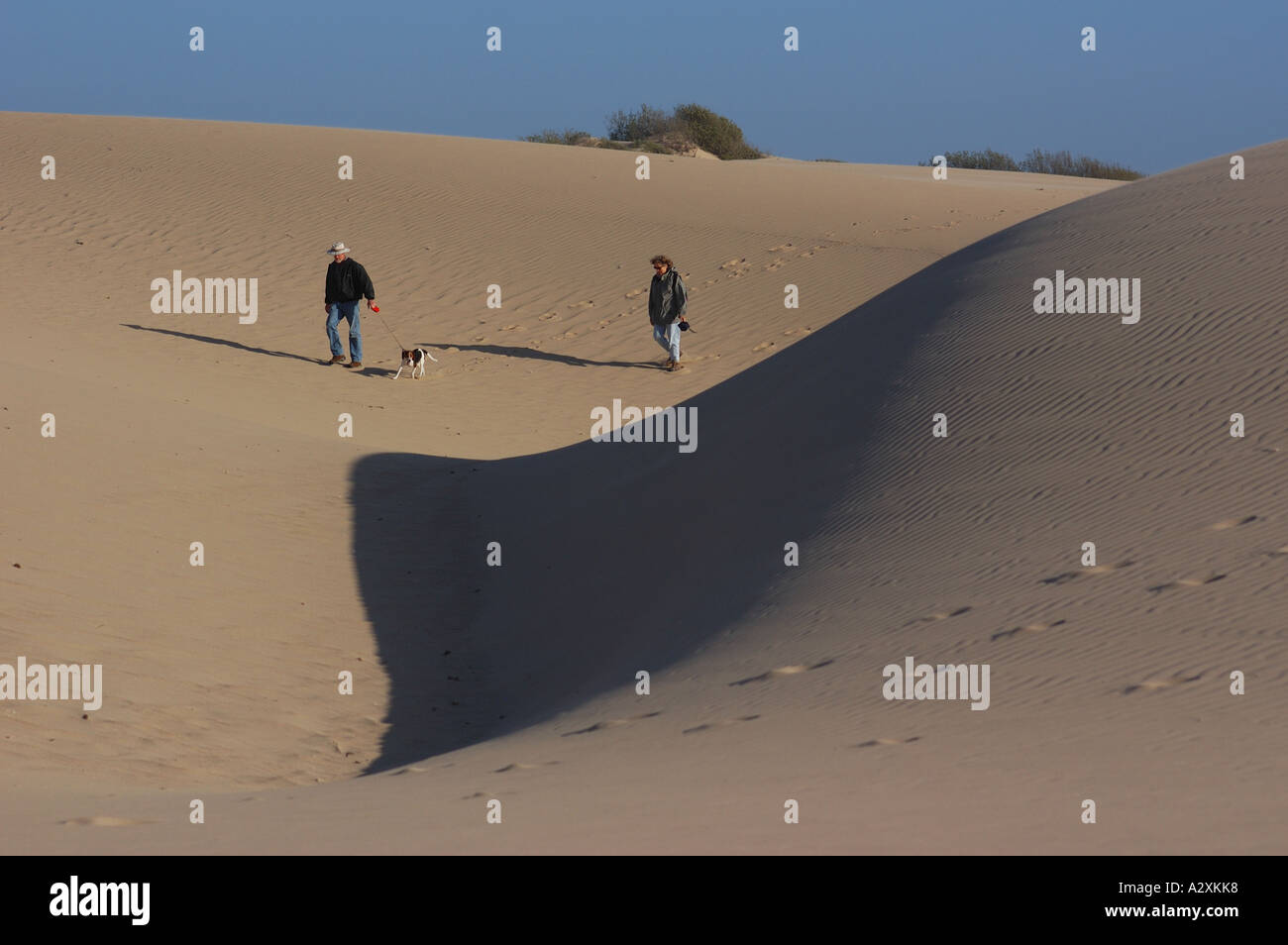Oceano Sand Dunes Stock Photo - Alamy