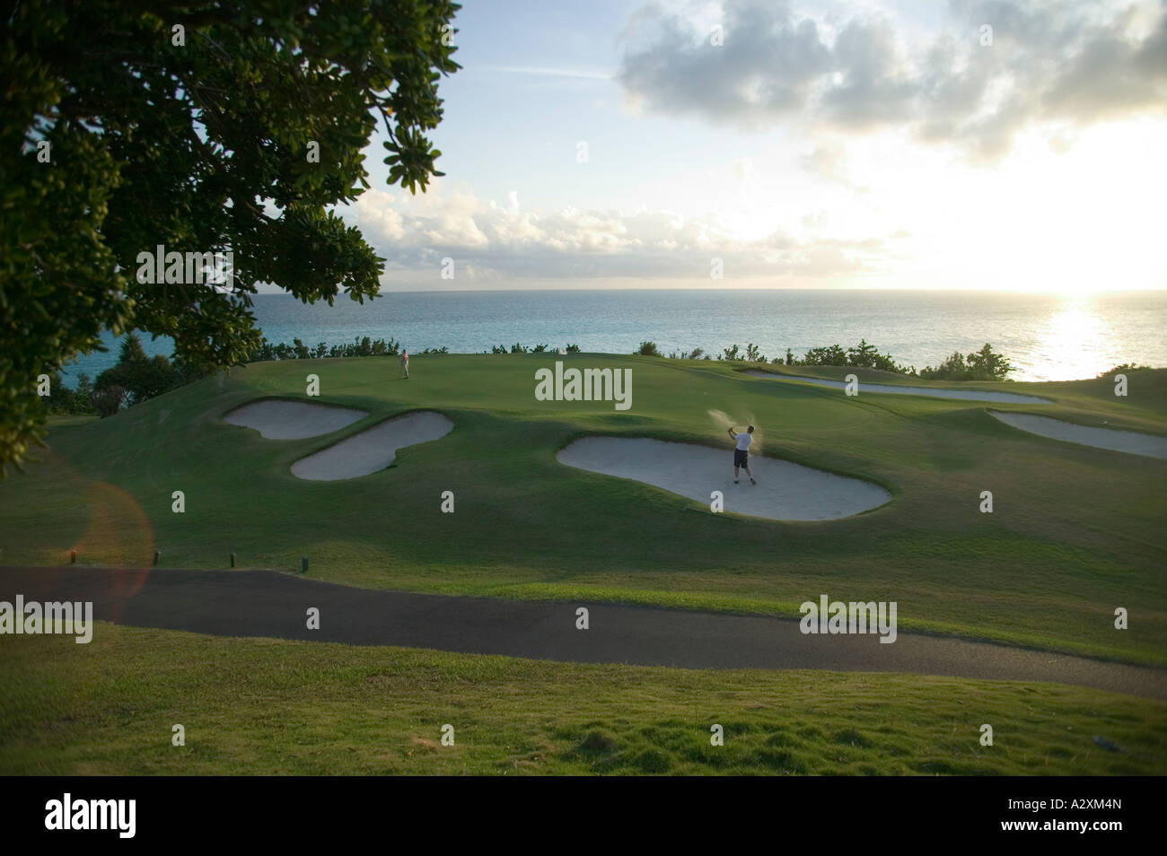 Hitting Ball Out Of Sand Trap On Bermuda Golf Course Stock Photo - Alamy