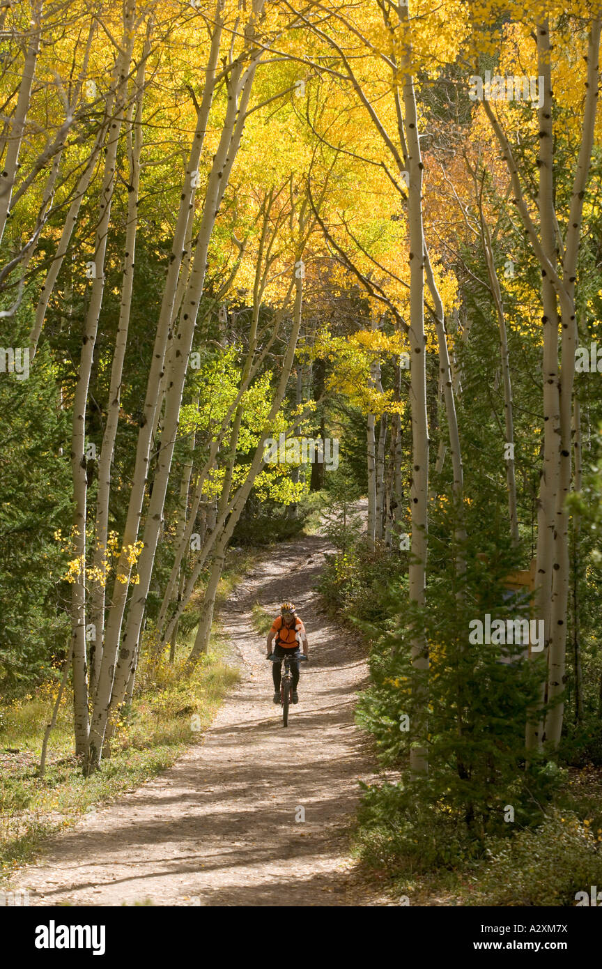 Mountain biking one lane hi-res stock photography and images - Alamy
