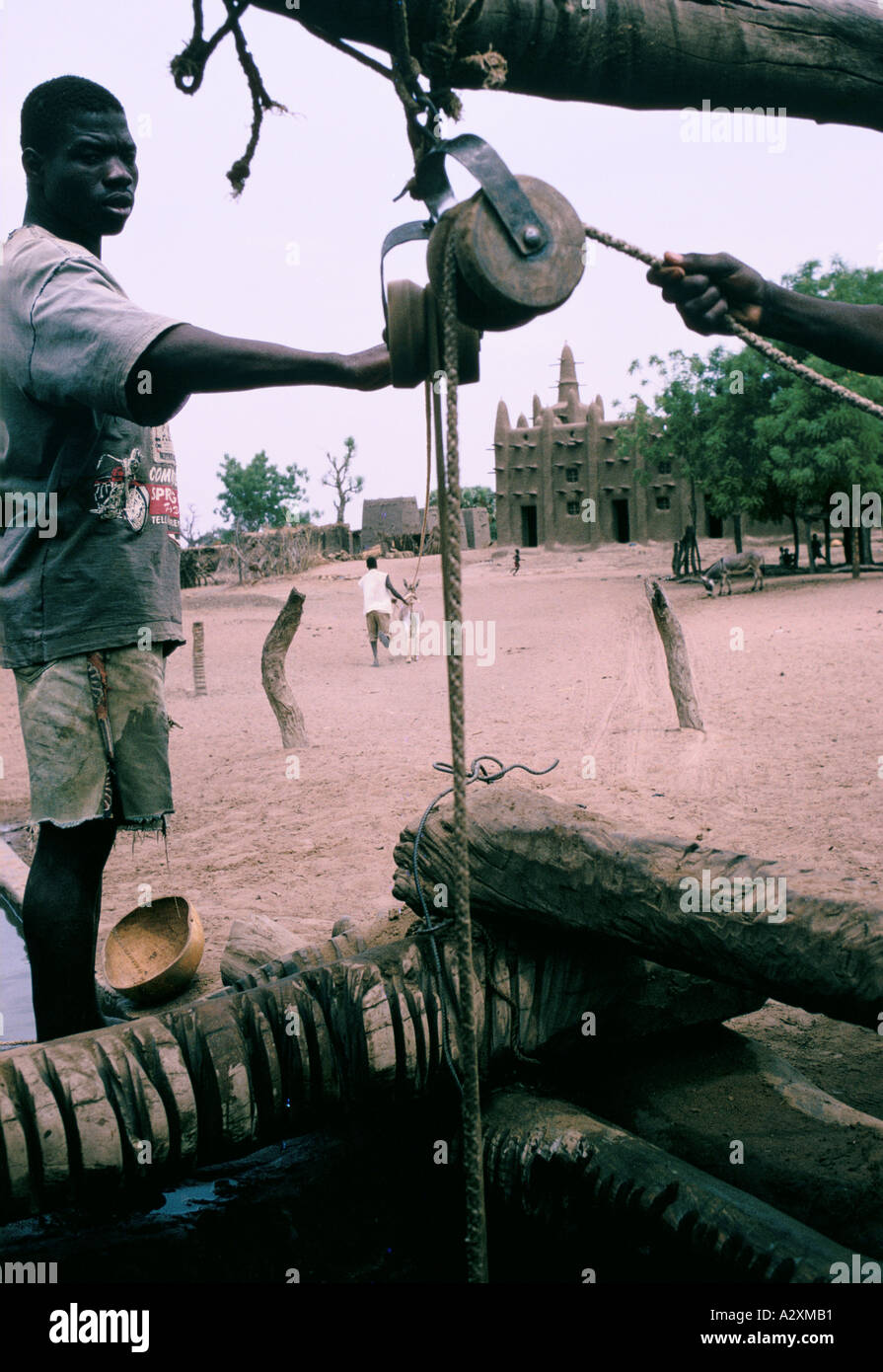 mali west africa 1995 villagers using a donkey to draw water from a ...