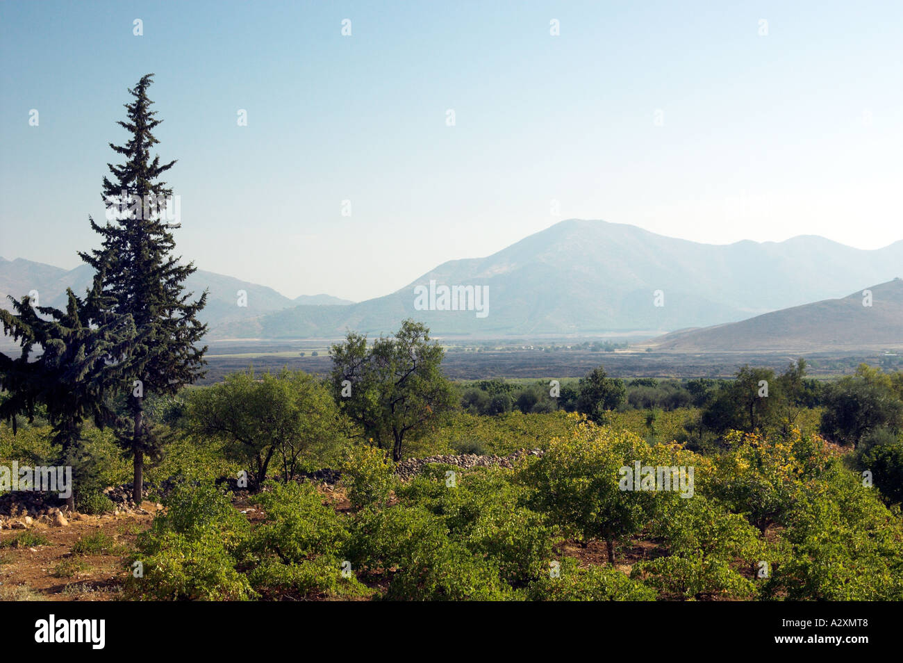 Typical rural Turkish landscape of trees and mountains Stock Photo - Alamy