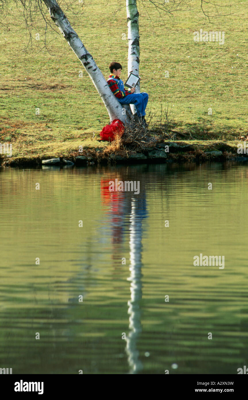 Birch wisdom hi-res stock photography and images - Alamy