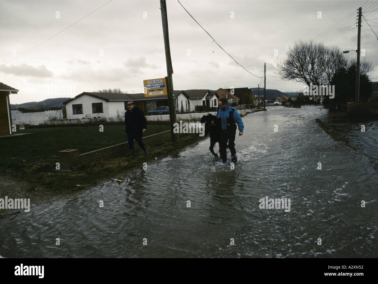 Two men walk their pony along flooded streets after hurricane winds ...