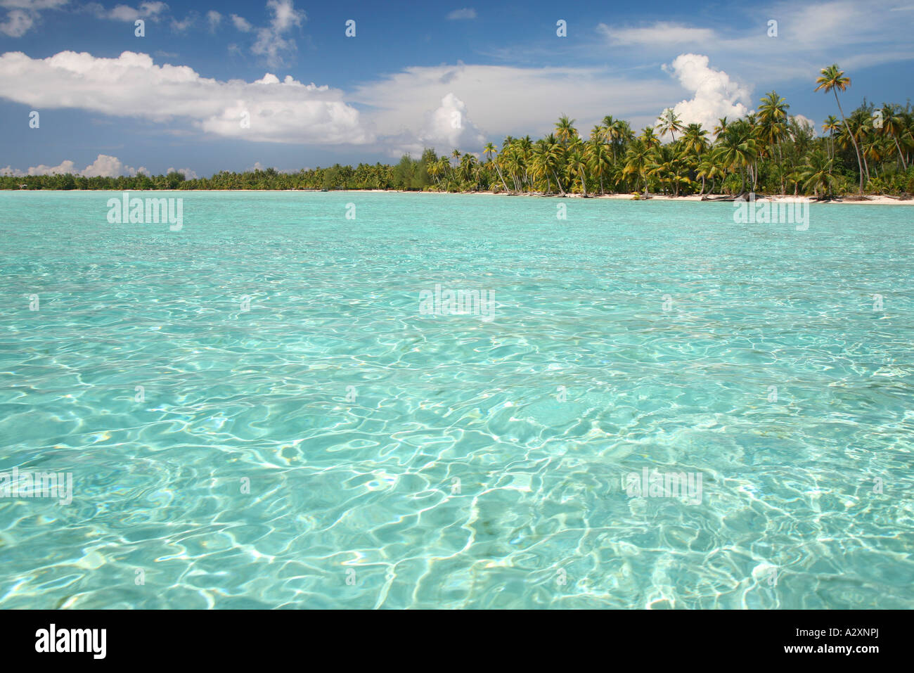 Bora Bora motu beach Stock Photo - Alamy