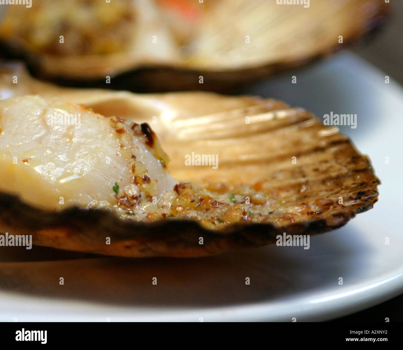 Grilled King Scallops Stock Photo - Alamy