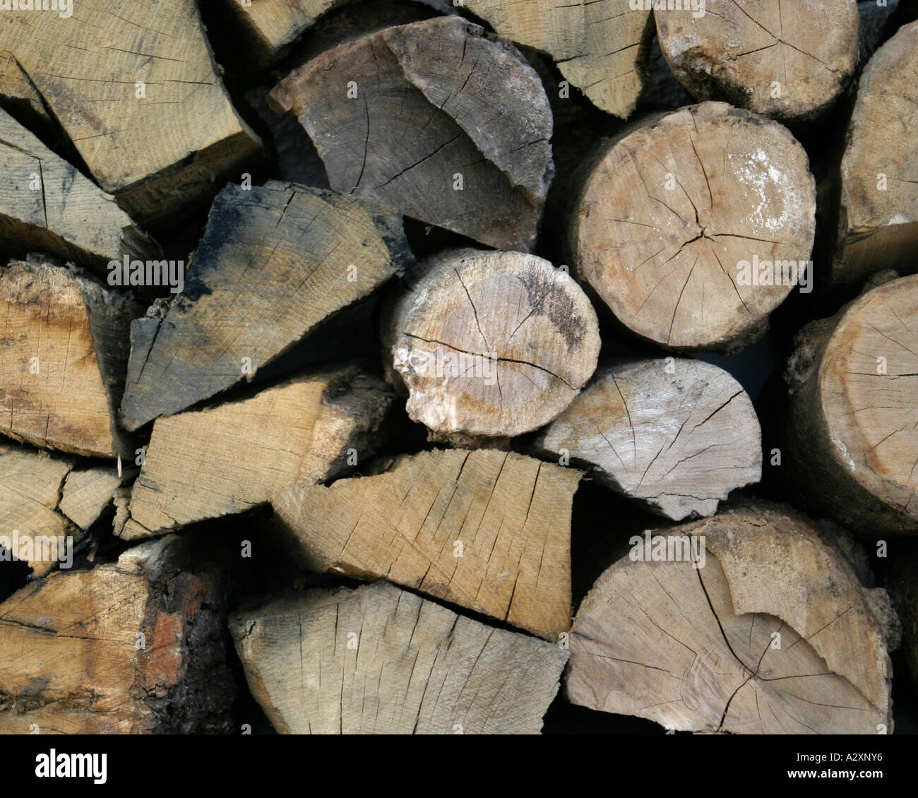 Stacked Logs 2 Stock Photo - Alamy