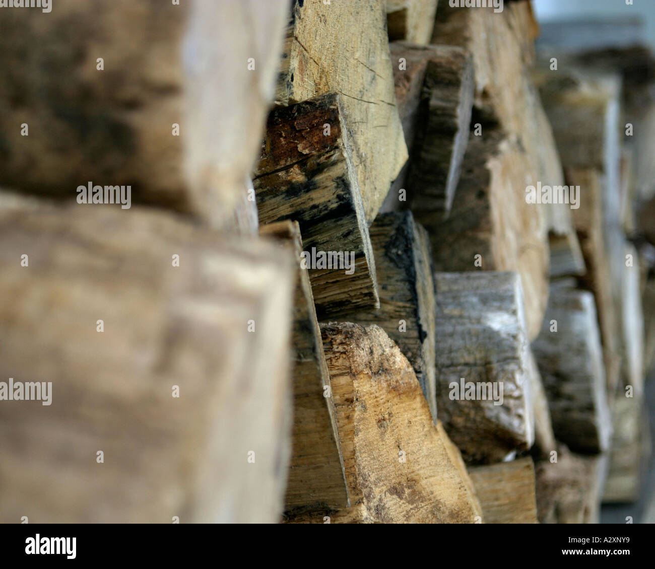 Stacked Logs 1 Stock Photo - Alamy
