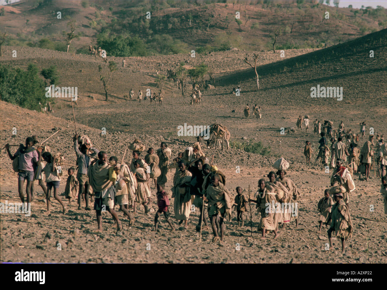 group of male female and infant tigray refugees carrying possessions ...
