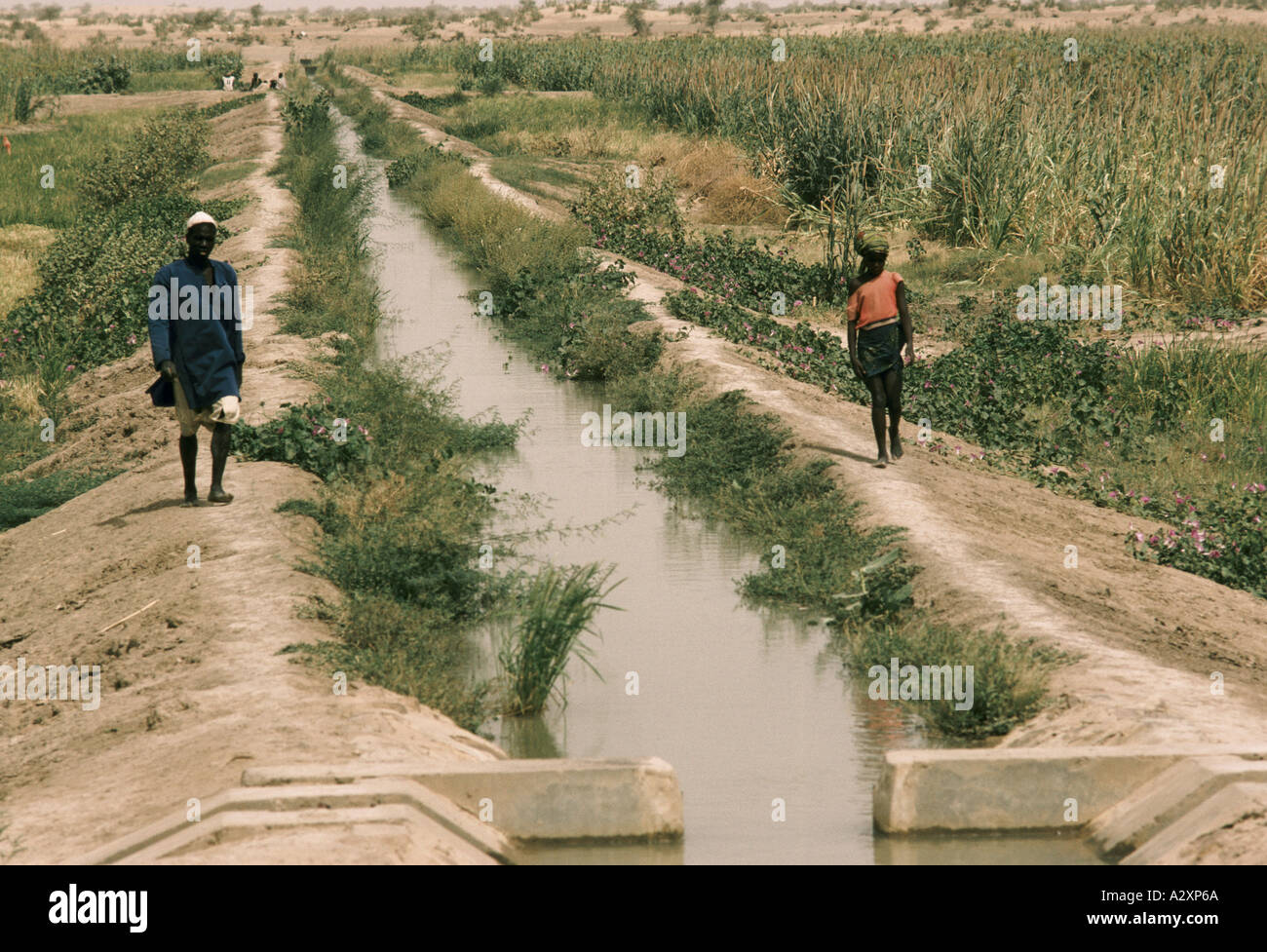Niger desert agriculture hi-res stock photography and images - Alamy