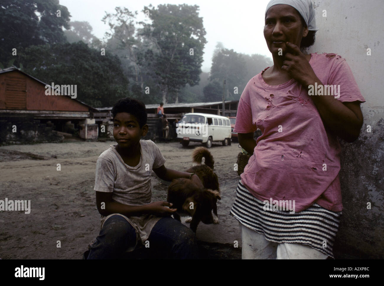 A family shells cocoa pods for the cocoa nuts on a cocoa plantation ...