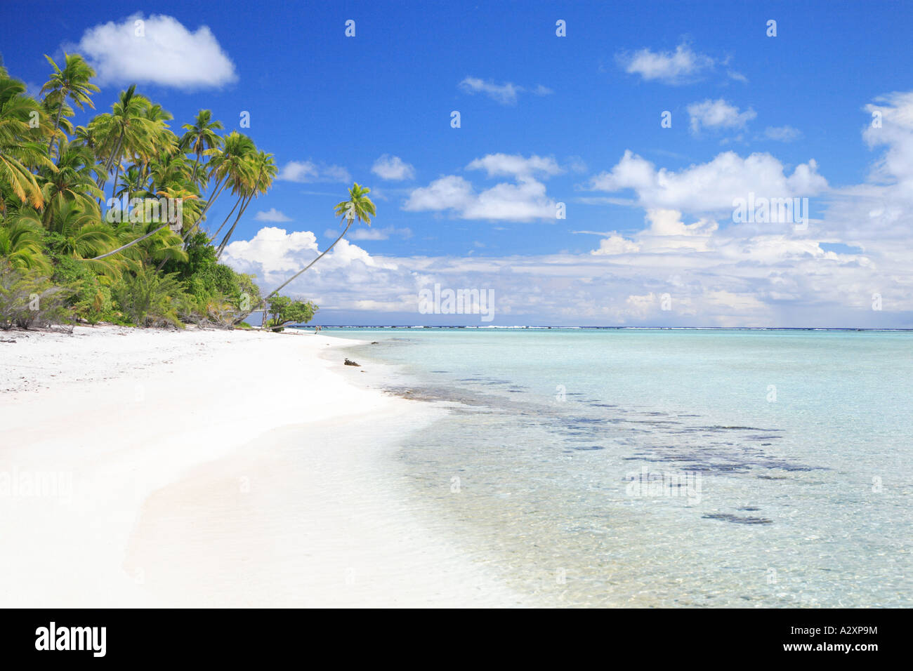 Desert Island in Aitutaki Lagoon Cook islands Polynesia Pacific Stock ...