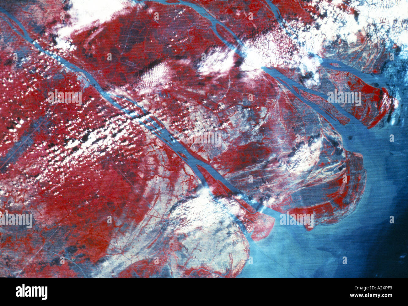 NASA infra-red satellite image of south-east Vietnam in 1973. The Cyan ...