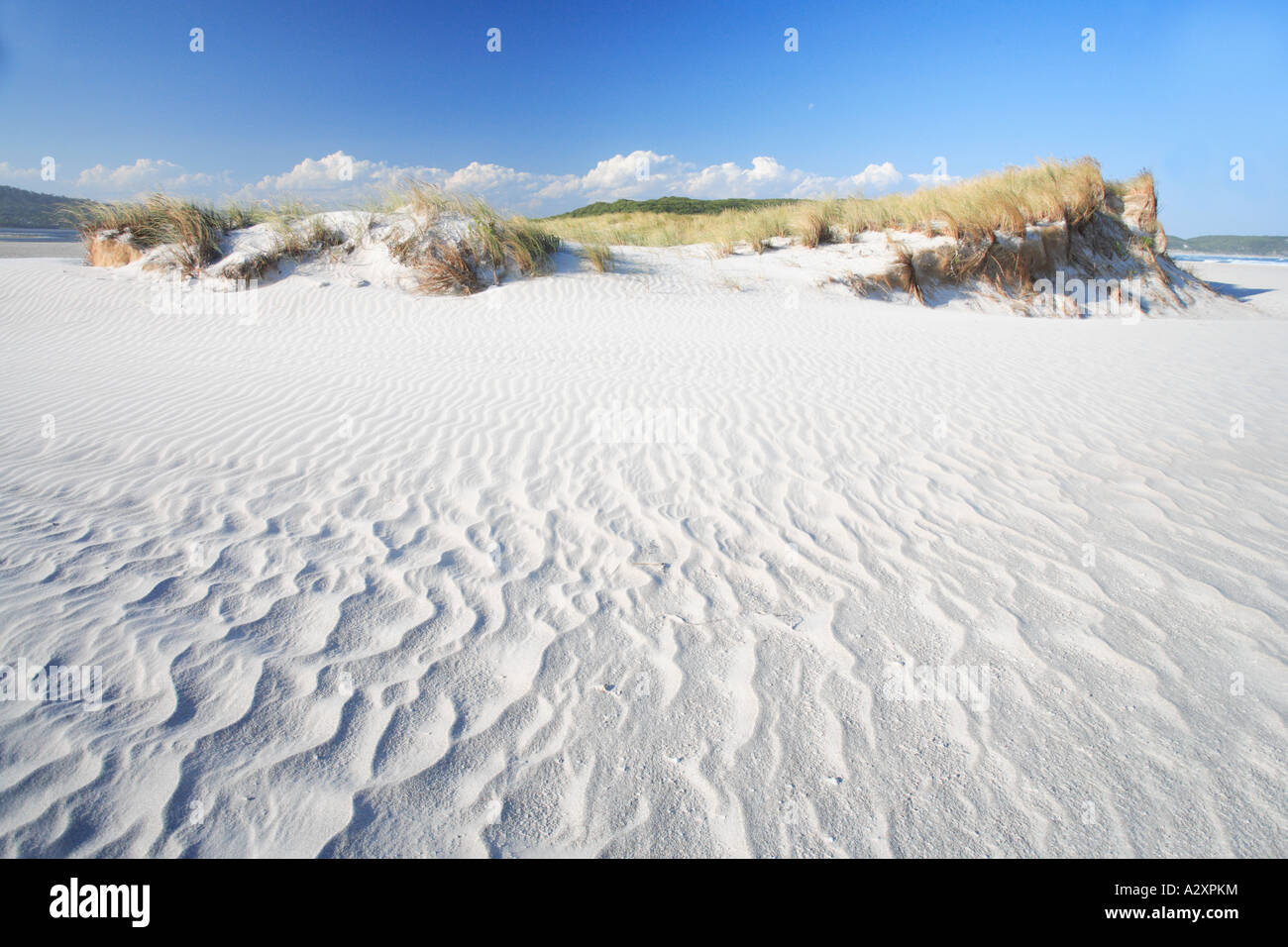 Sand dune grass western australia hi-res stock photography and images ...