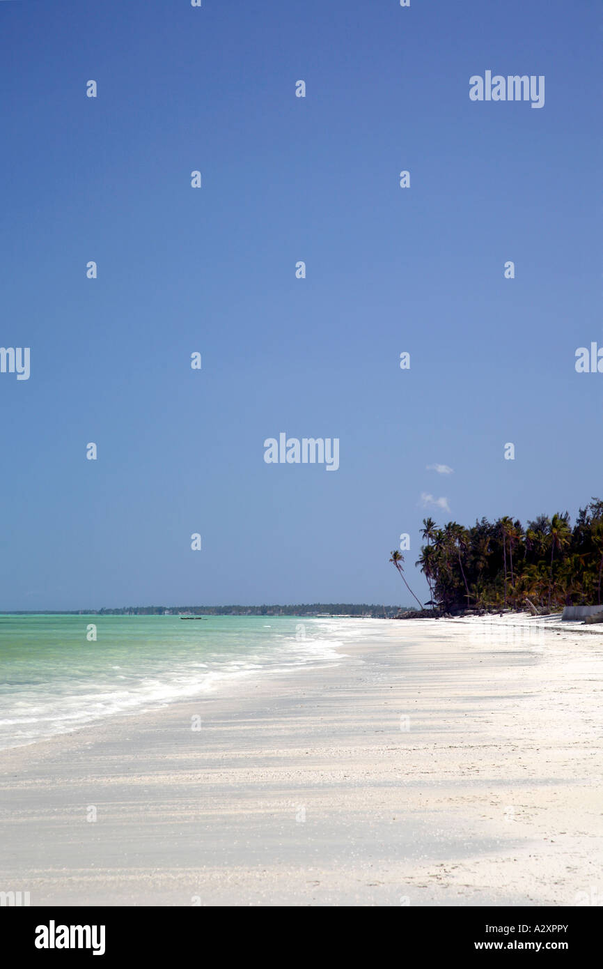 Paje Beach Zanzibar Tanzania Stock Photo - Alamy