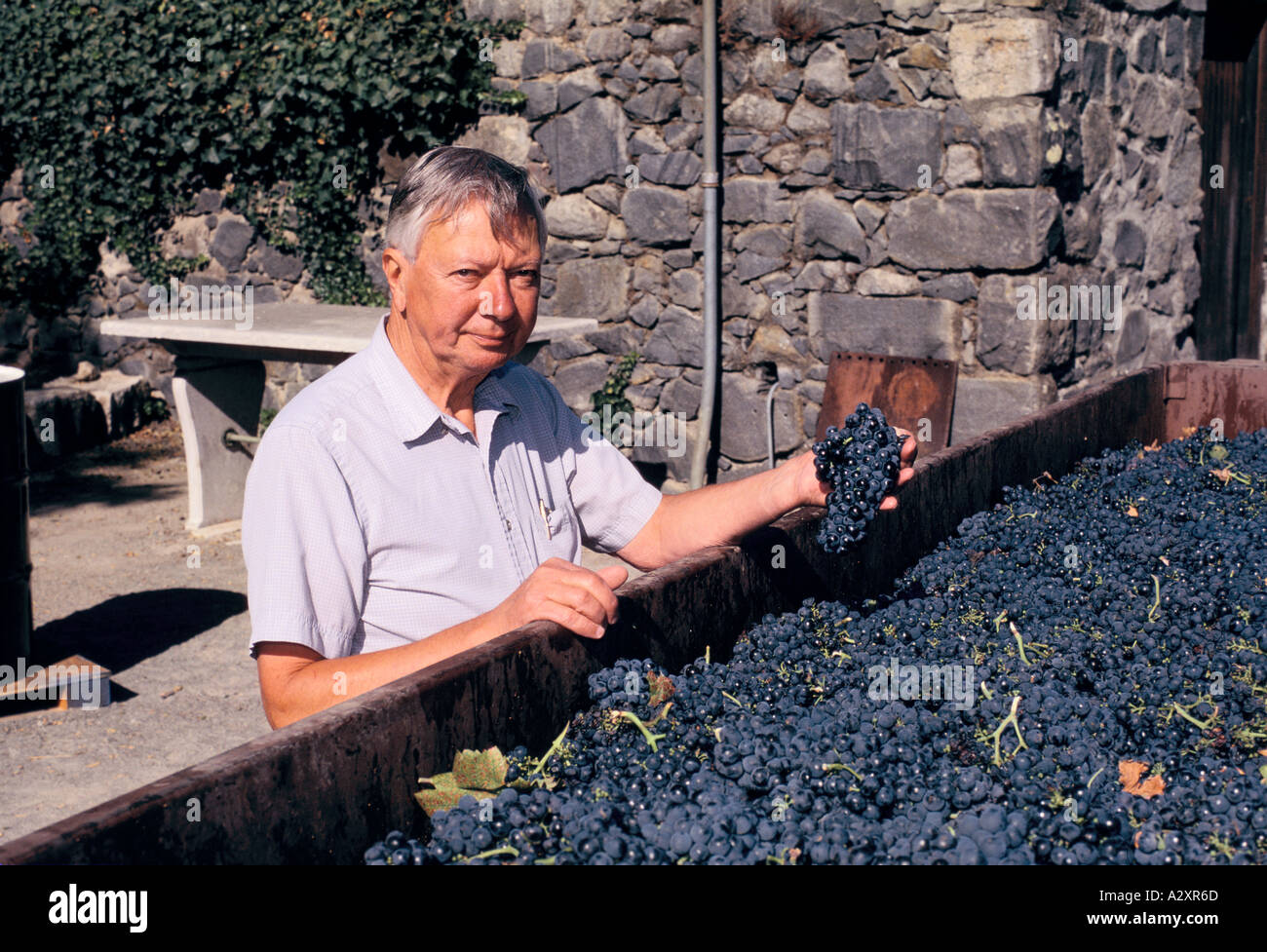 Heitz cellar hi-res stock photography and images - Alamy