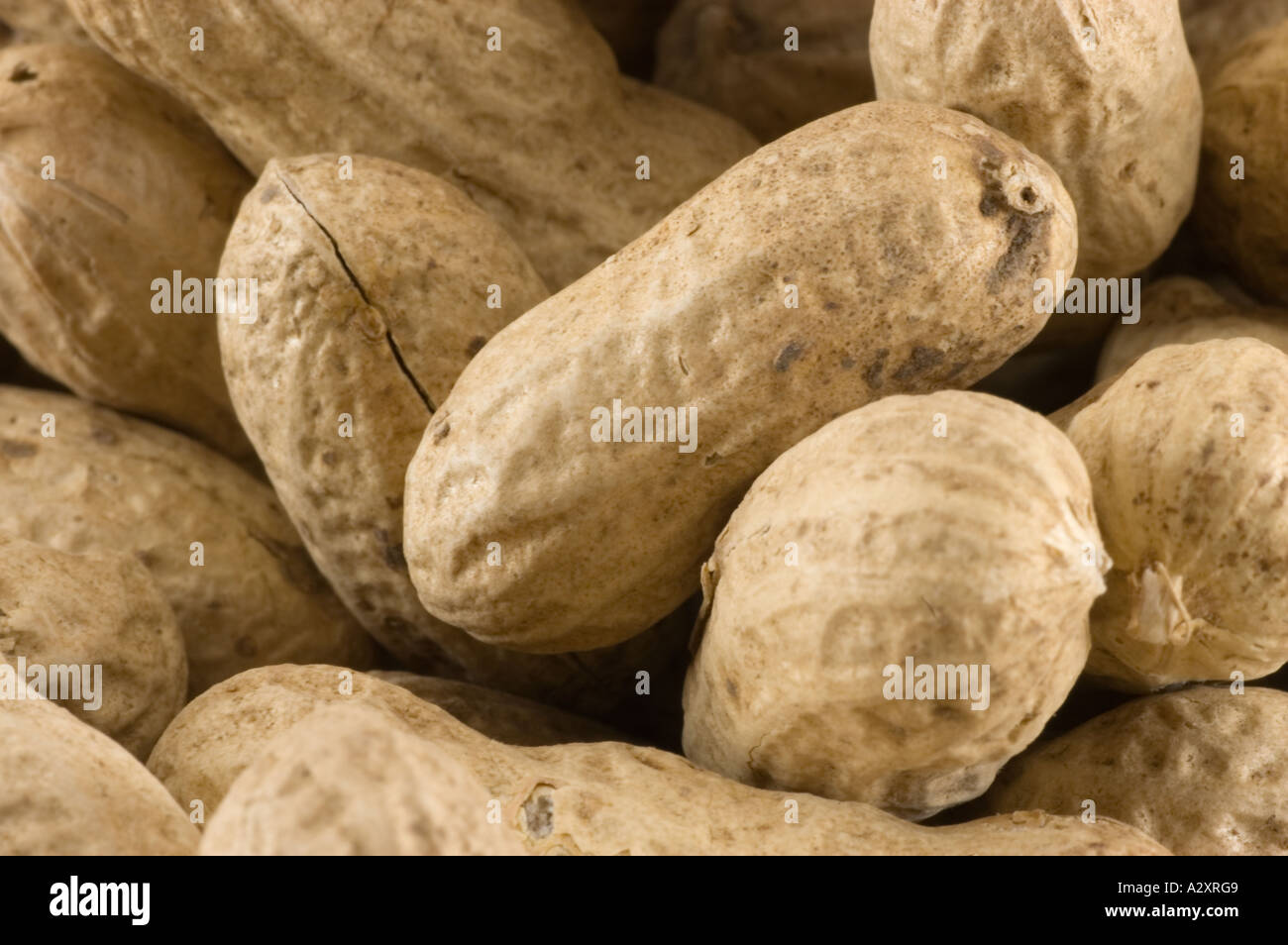 Peanuts in shells Stock Photo - Alamy
