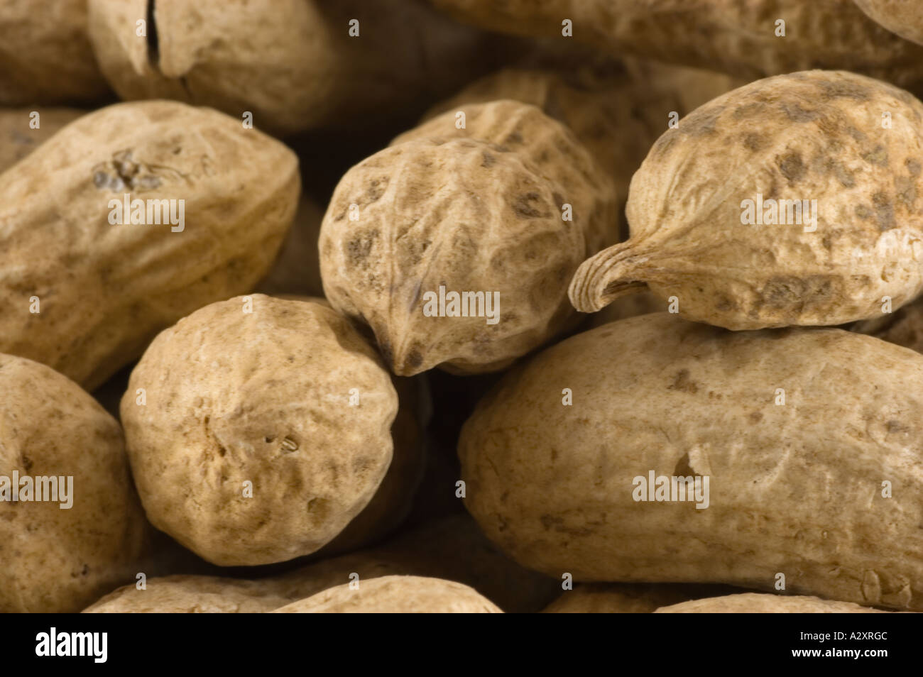 Peanuts in shells Stock Photo - Alamy