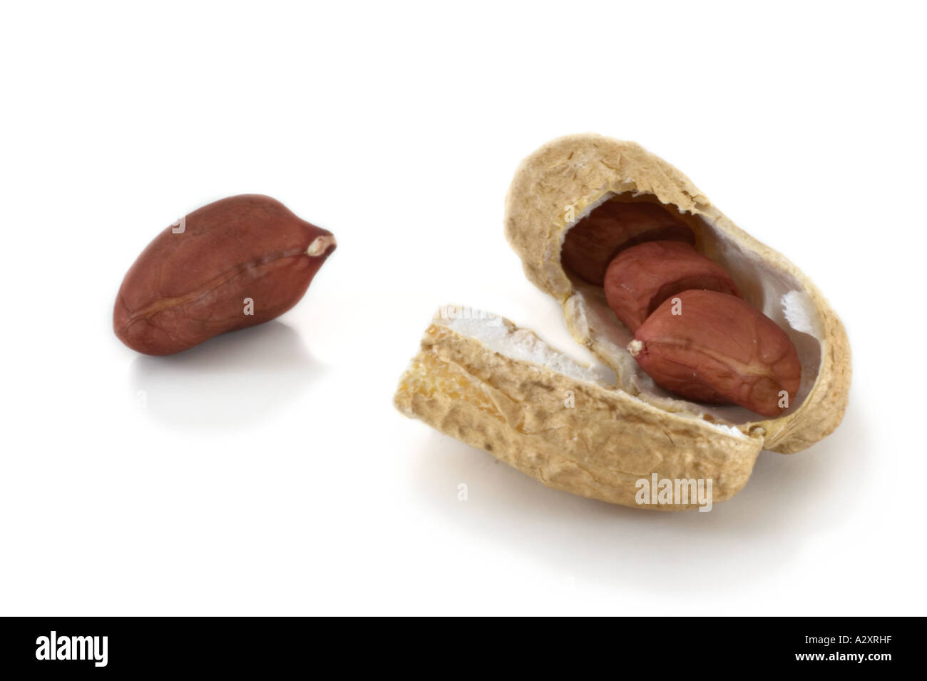 Peanuts in shells cracked open against a white background Stock Photo ...