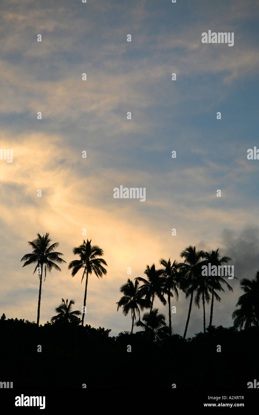 Rarotonga sunset with palm trees Cook islands Stock Photo - Alamy