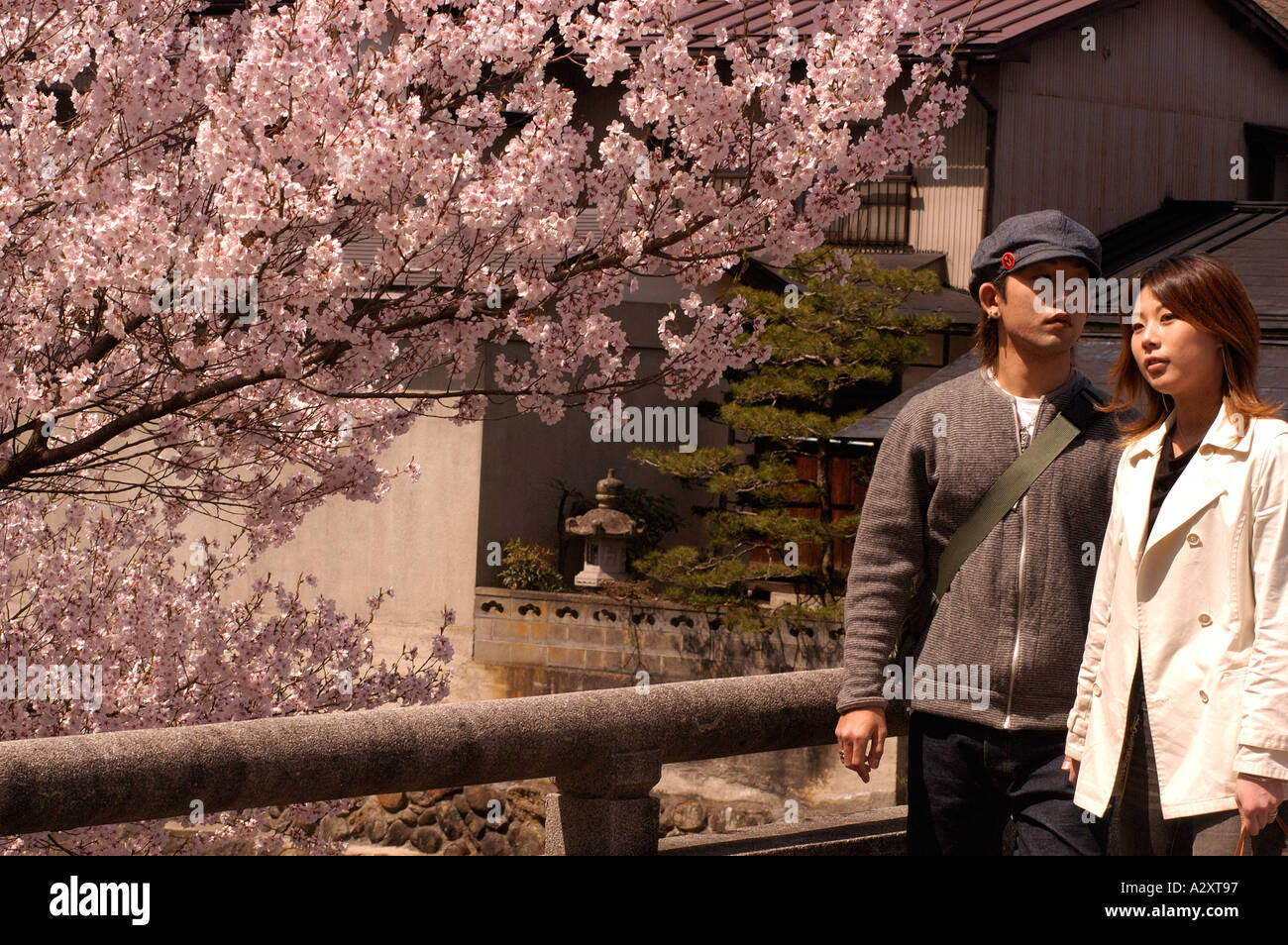 Spring scenery Takayama Nagano prefecture Japan Stock Photo - Alamy
