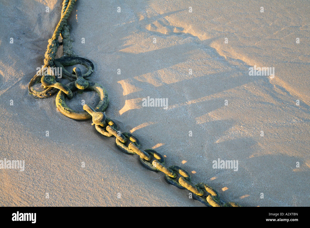 Nigaloo reef marine reserve cape hi-res stock photography and images ...