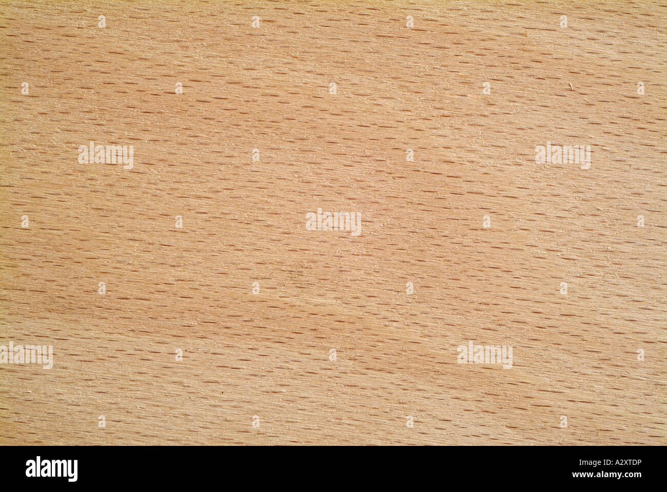 Wood Surface Showing the Grain of Beech Timber Stock Photo - Alamy