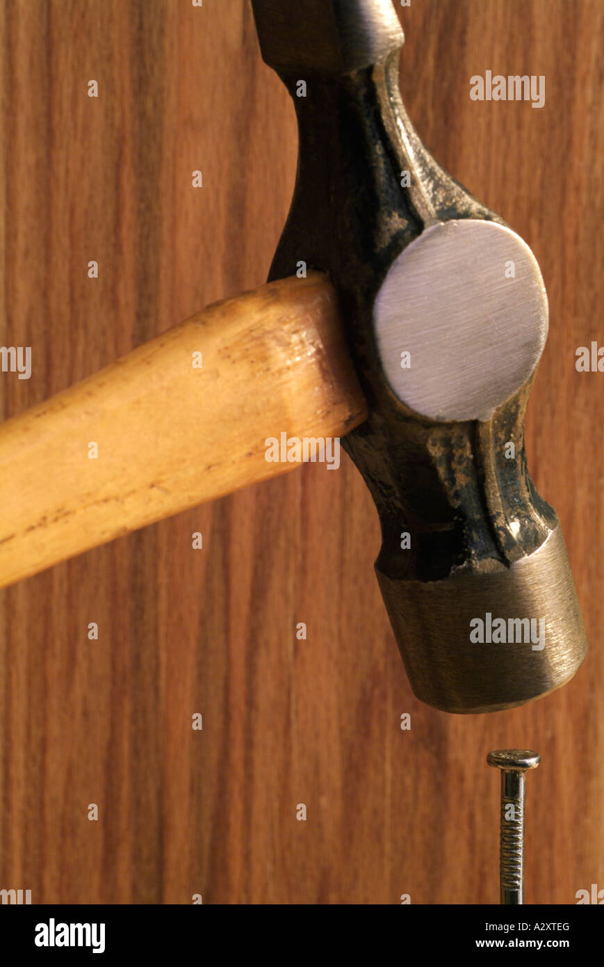 Hammer Hitting a Nail Over the Head Stock Photo - Alamy