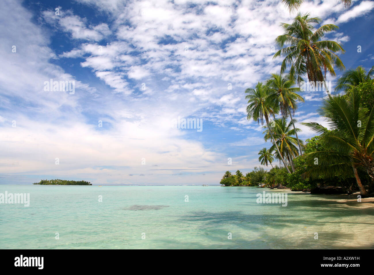 Bora Bora motu beach Stock Photo - Alamy