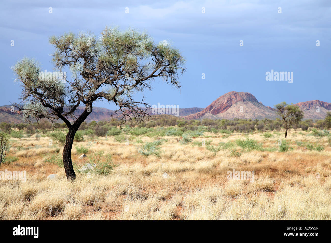Kata tjuta national park rock art hi-res stock photography and images ...