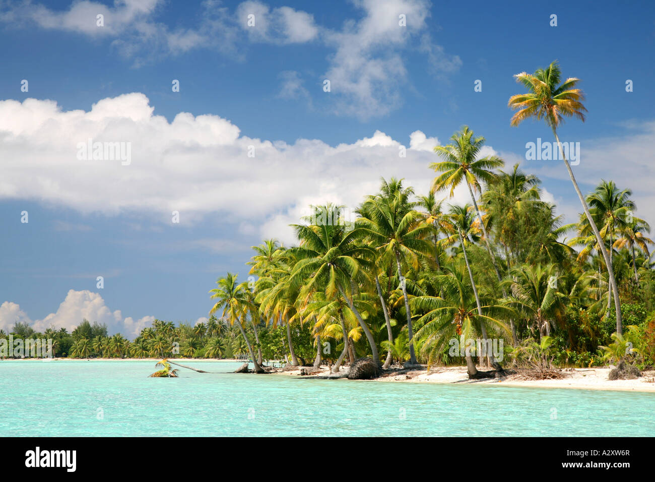 Bora Bora motu beach Stock Photo - Alamy
