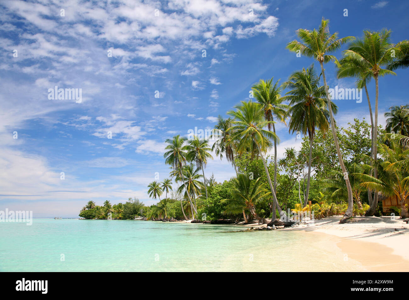 Bora bora beach - motu Stock Photo - Alamy