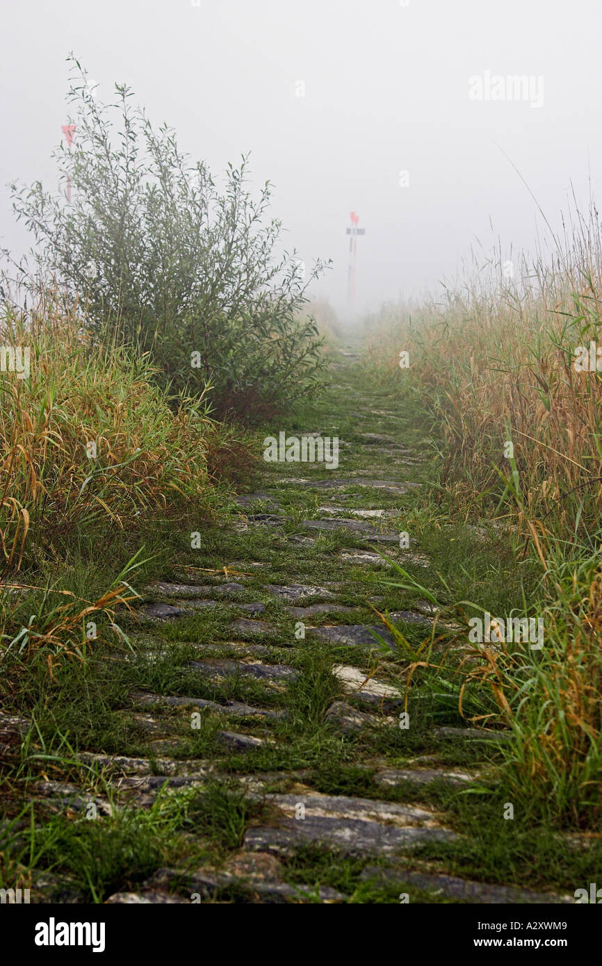 River landscape with natural dike during early autumn in Bad Honnef ...