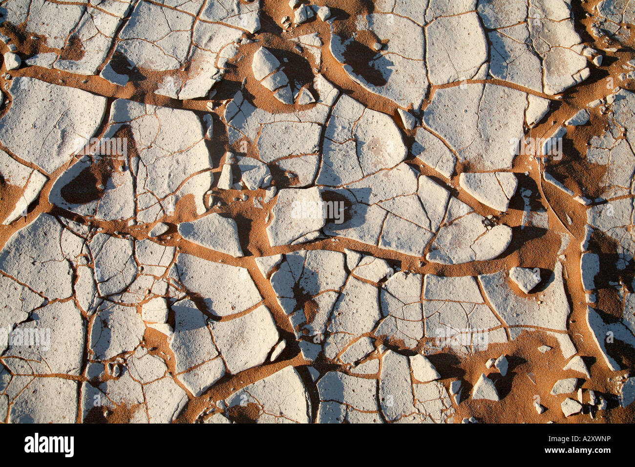 mud on sand - in sossusvlei Namib desert Namibia Stock Photo - Alamy