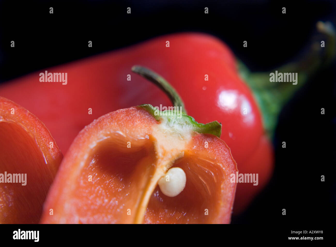 Mini sweet red Bell Pepper macro closeup Stock Photo - Alamy