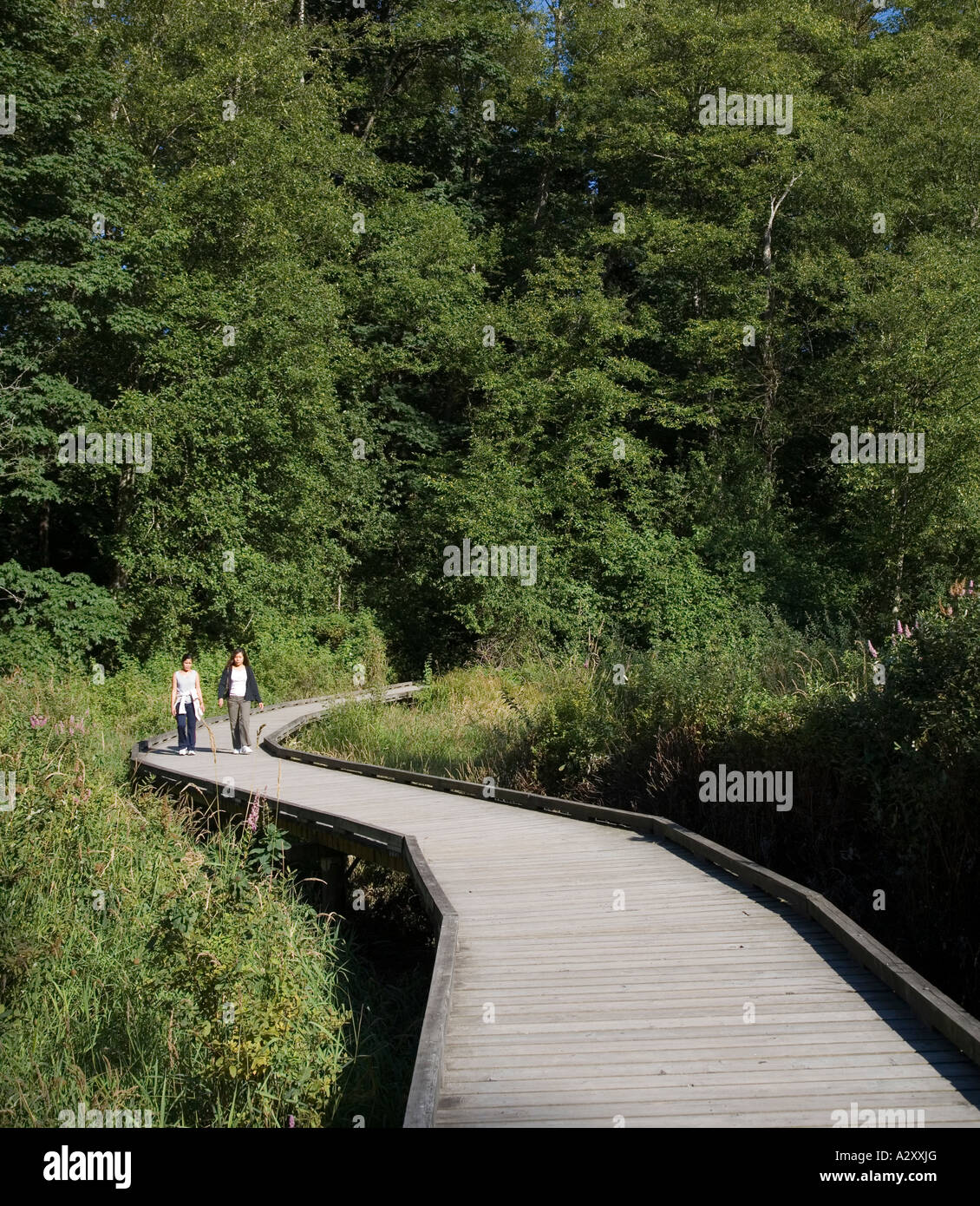 Boardwalk loop trail hi-res stock photography and images - Alamy