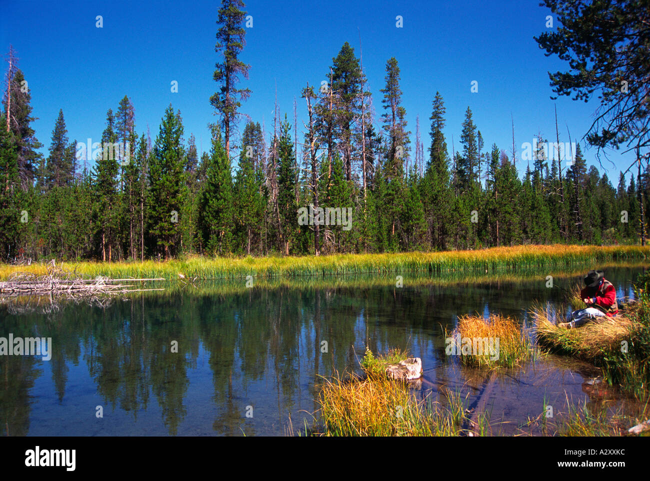 Fall river oregon fishing hi-res stock photography and images - Alamy