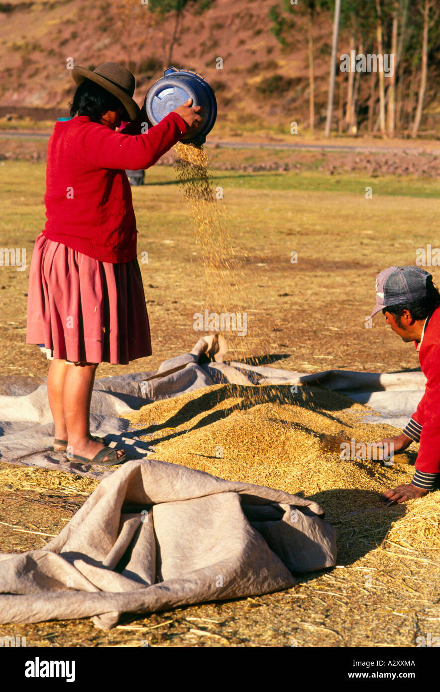 Traditional indian farming methods hi-res stock photography and images ...