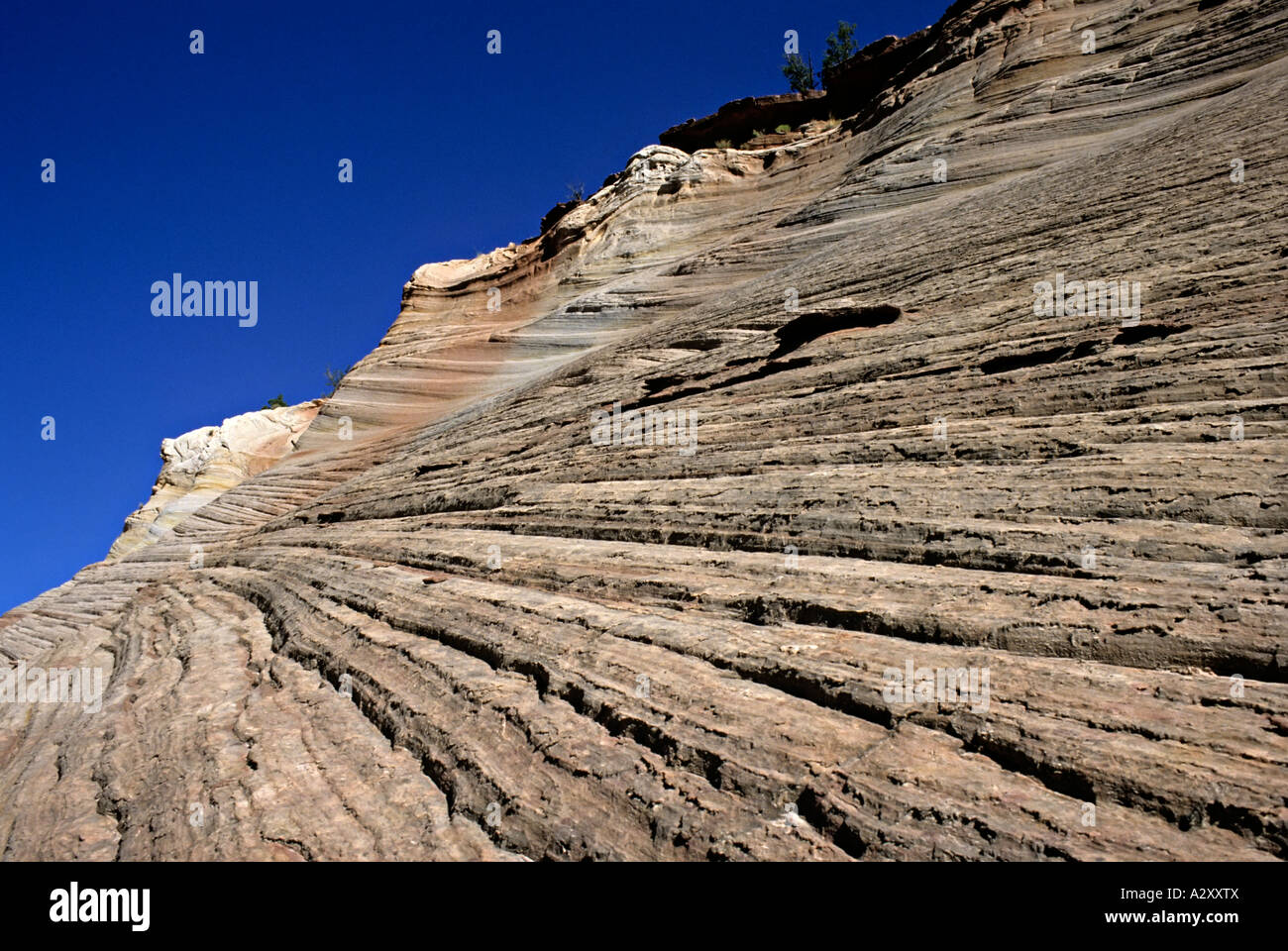 Banding in sandstone cliffs Canyonlands Utah USA Stock Photo - Alamy