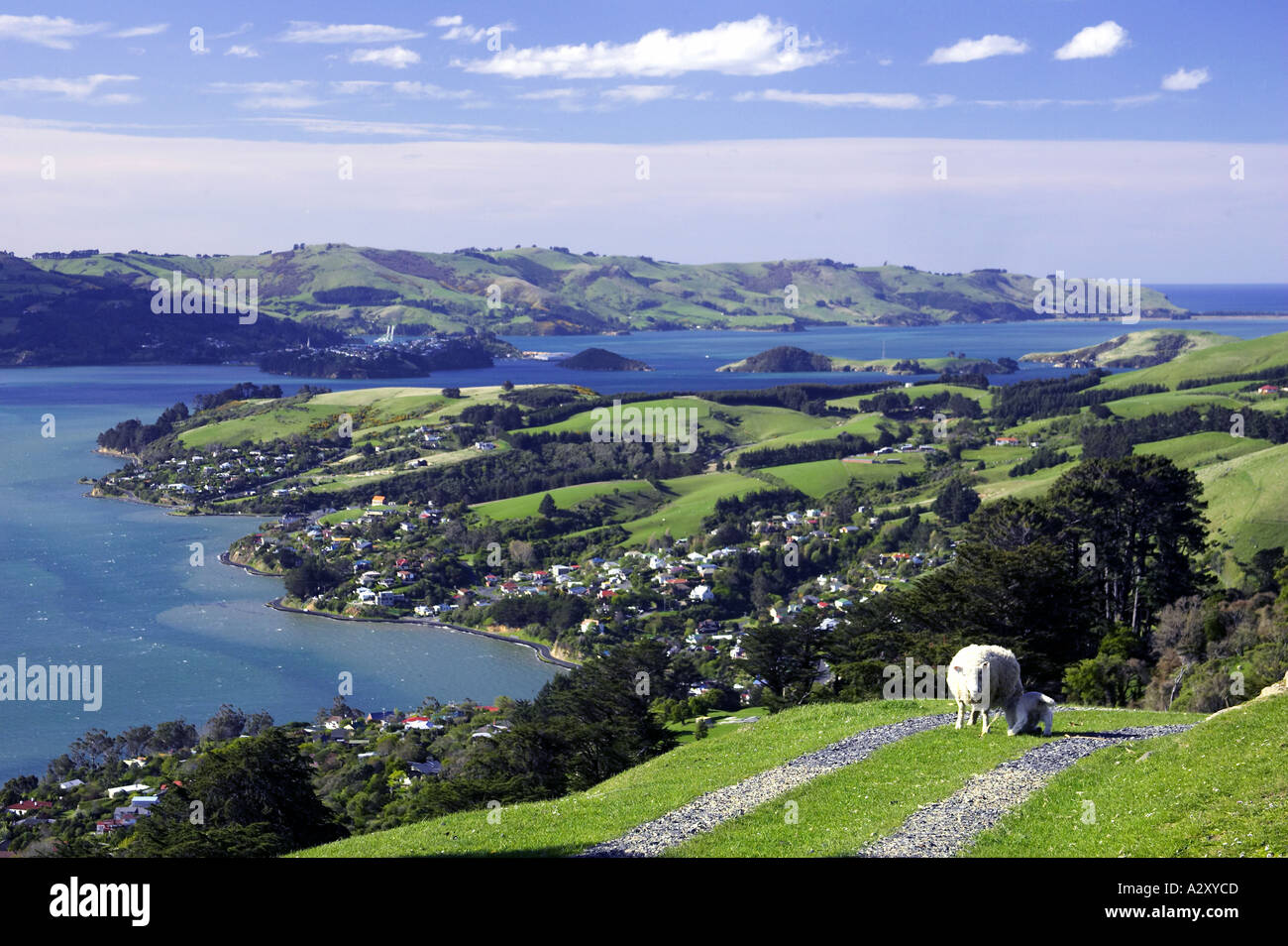 Macandrew High Resolution Stock Photography and Images - Alamy