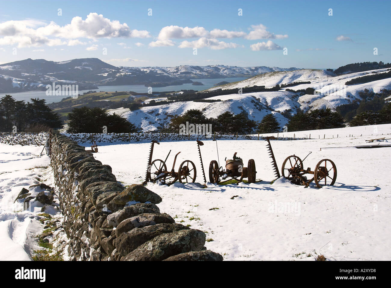 Old stone wall and farm implements in snow Otago Peninsula near Dunedin ...
