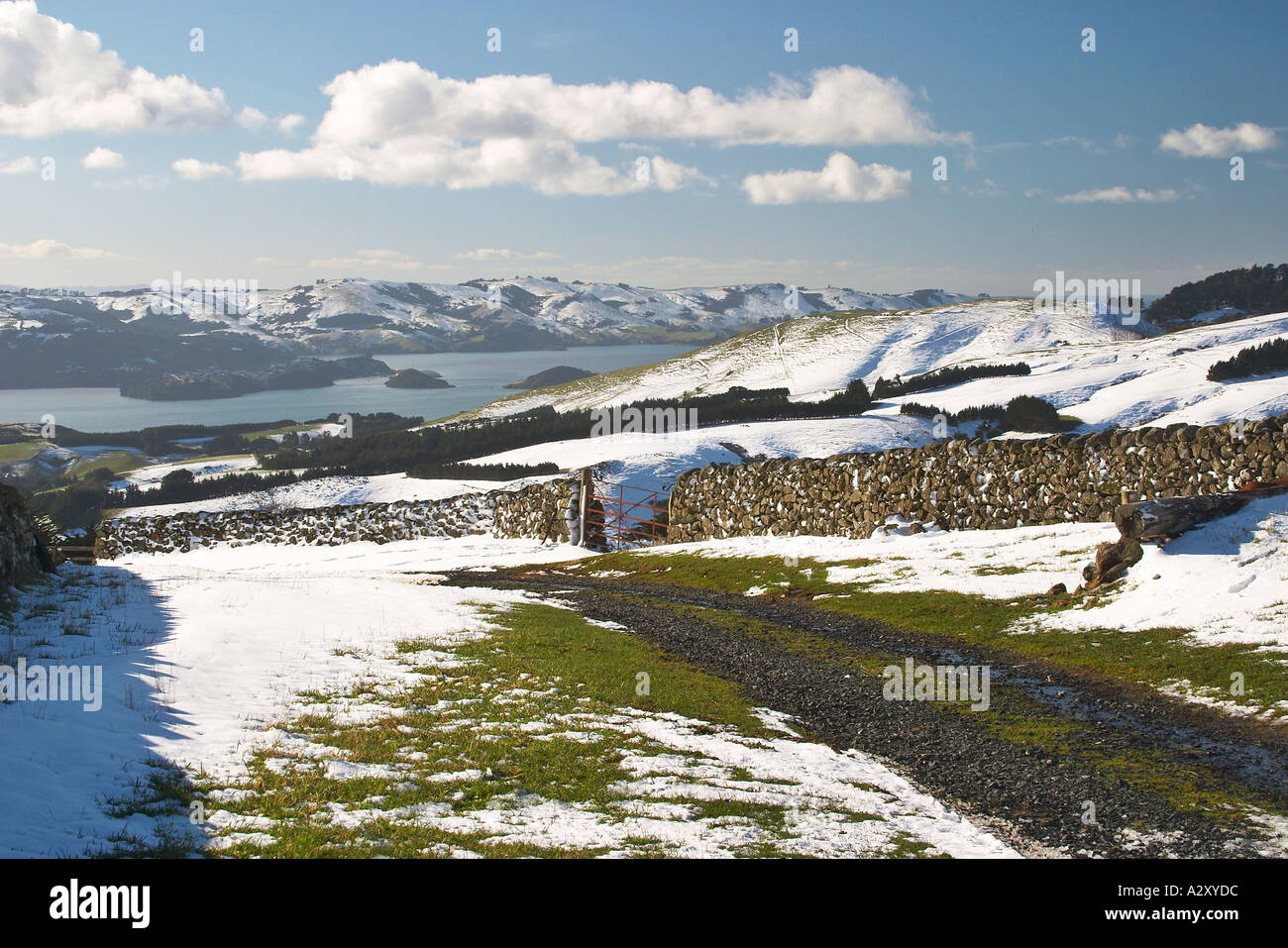 Old stone wall and snow Otago Peninsula near Dunedin South Island New ...